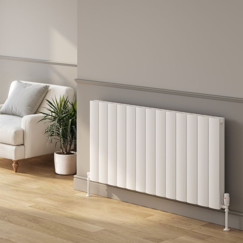 Reina Loco Horizontal Double Designer Radiator