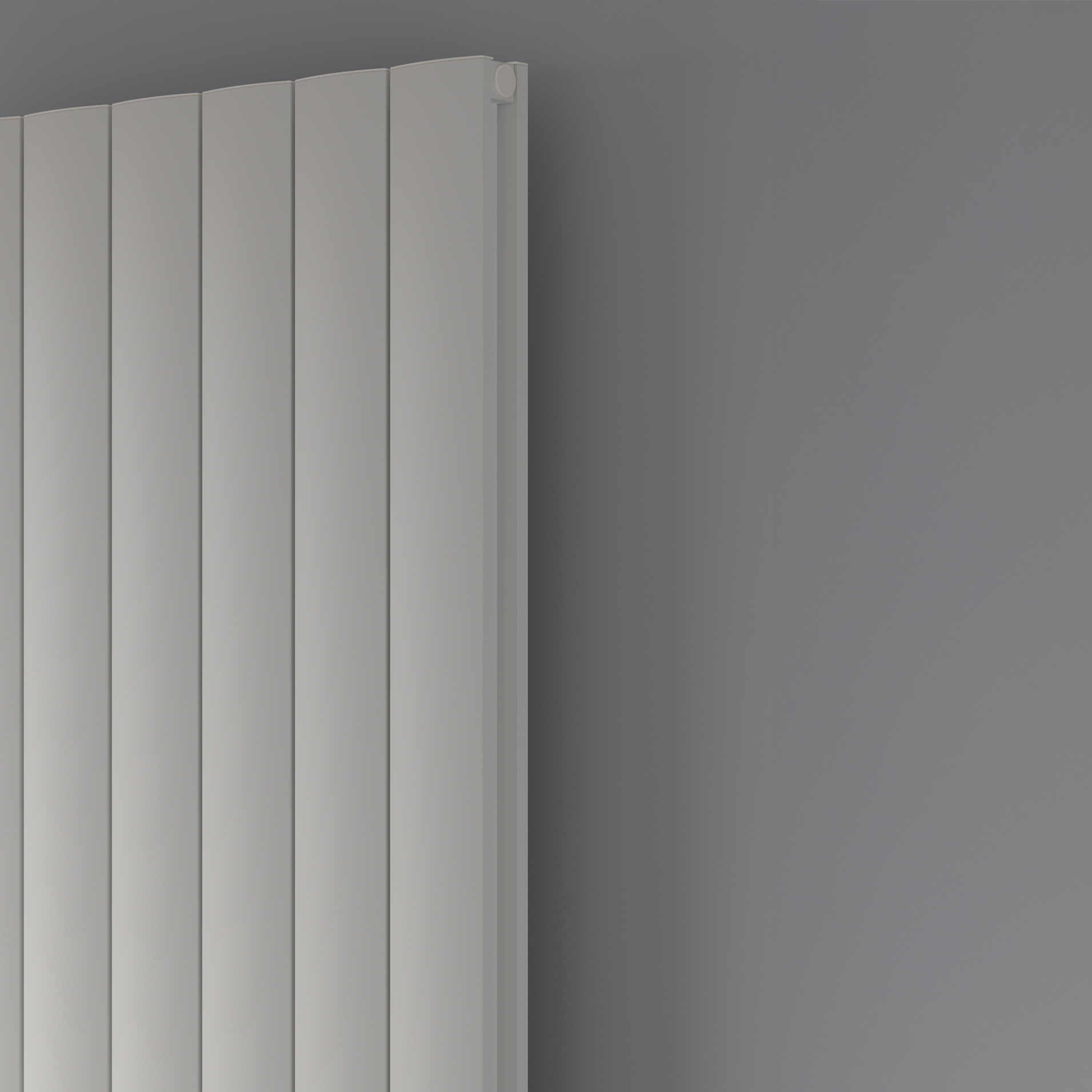 Reina Loco Vertical Double Designer Radiator